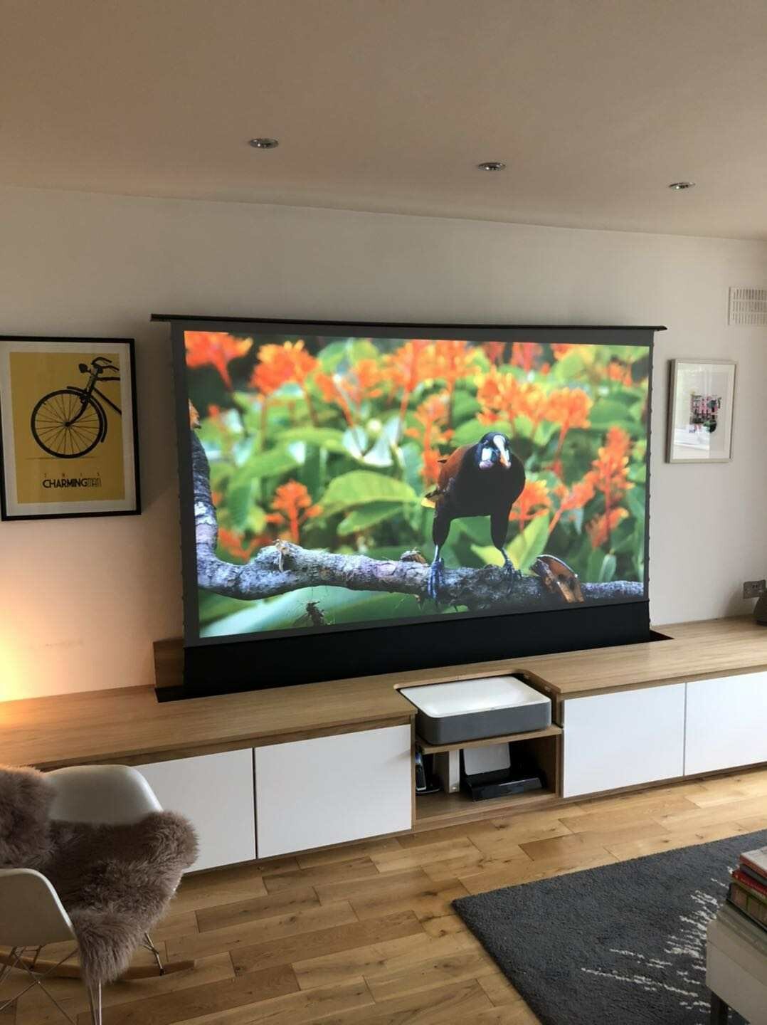 Screen and Projector Package