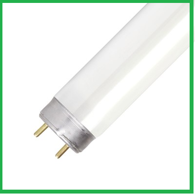 Fluorescent Tubes