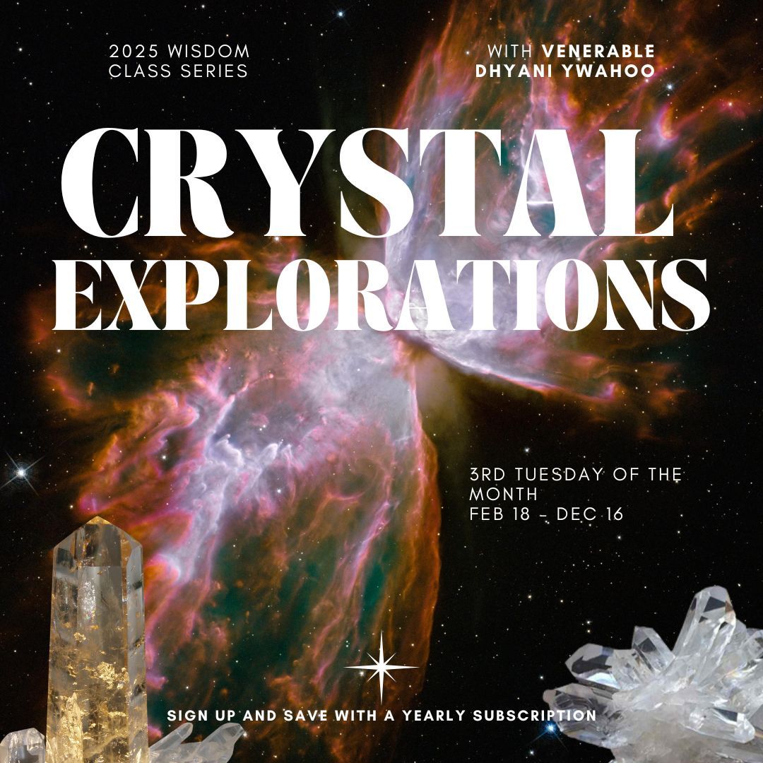 2025 Wisdom Class Series – Pay in Full – Self-study courses ...