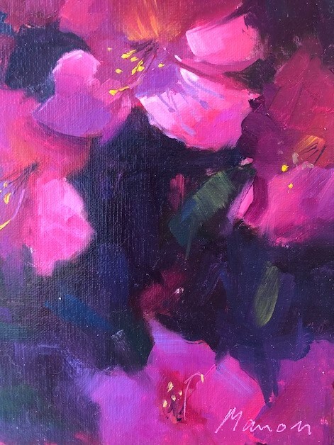 Manon Sander - Pretty in Pink | Shop