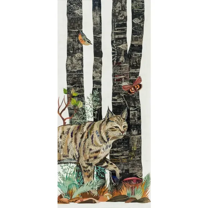 Dolan Geiman Midnight Forrest Print