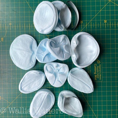 Christina Wallis' Veiners