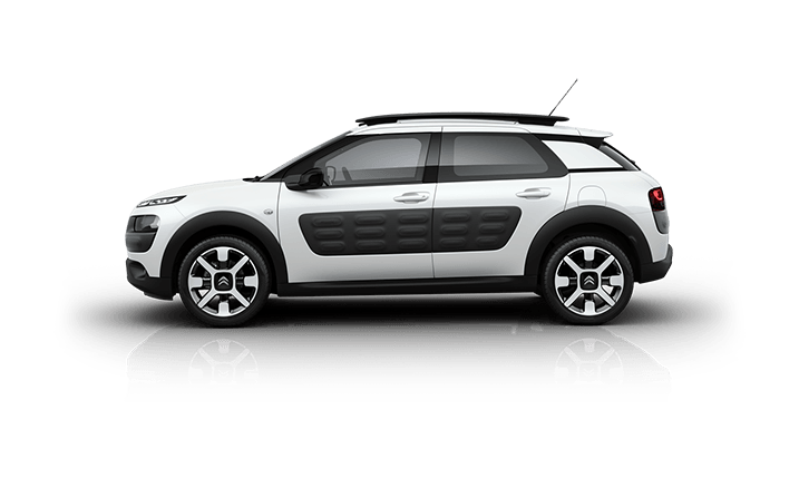 C4 Cactus