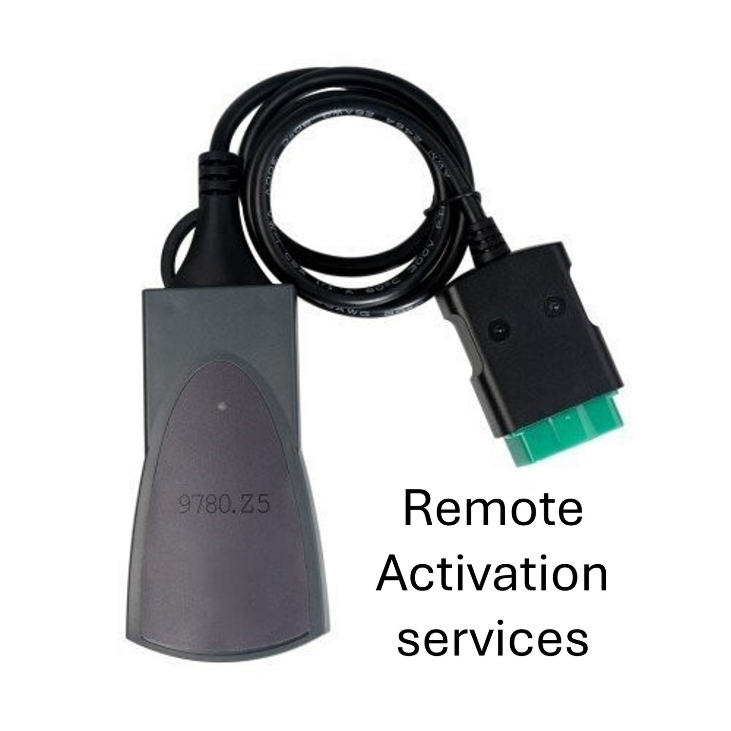 Remote activation services