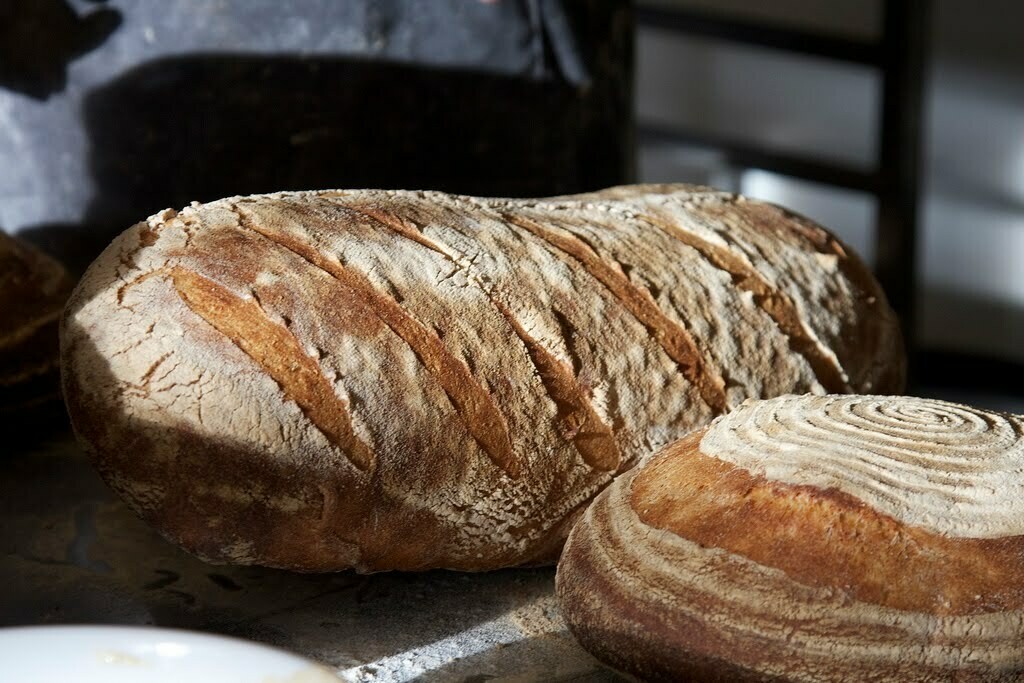 Brood
