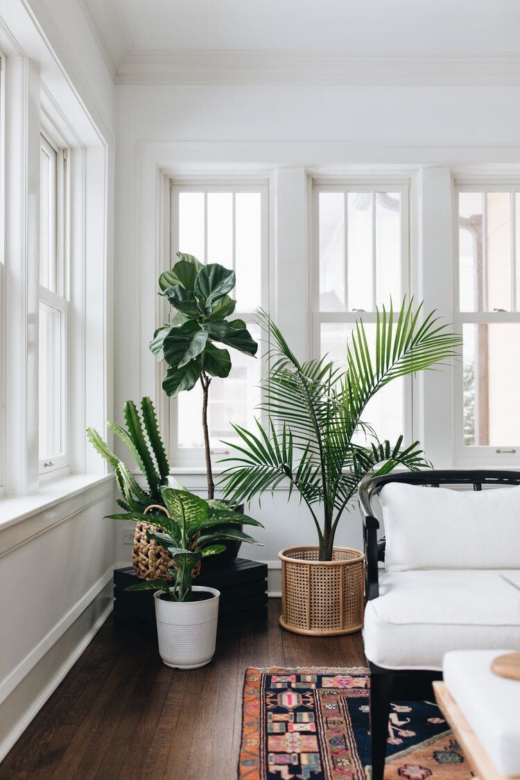 PLANT BUNDLES
