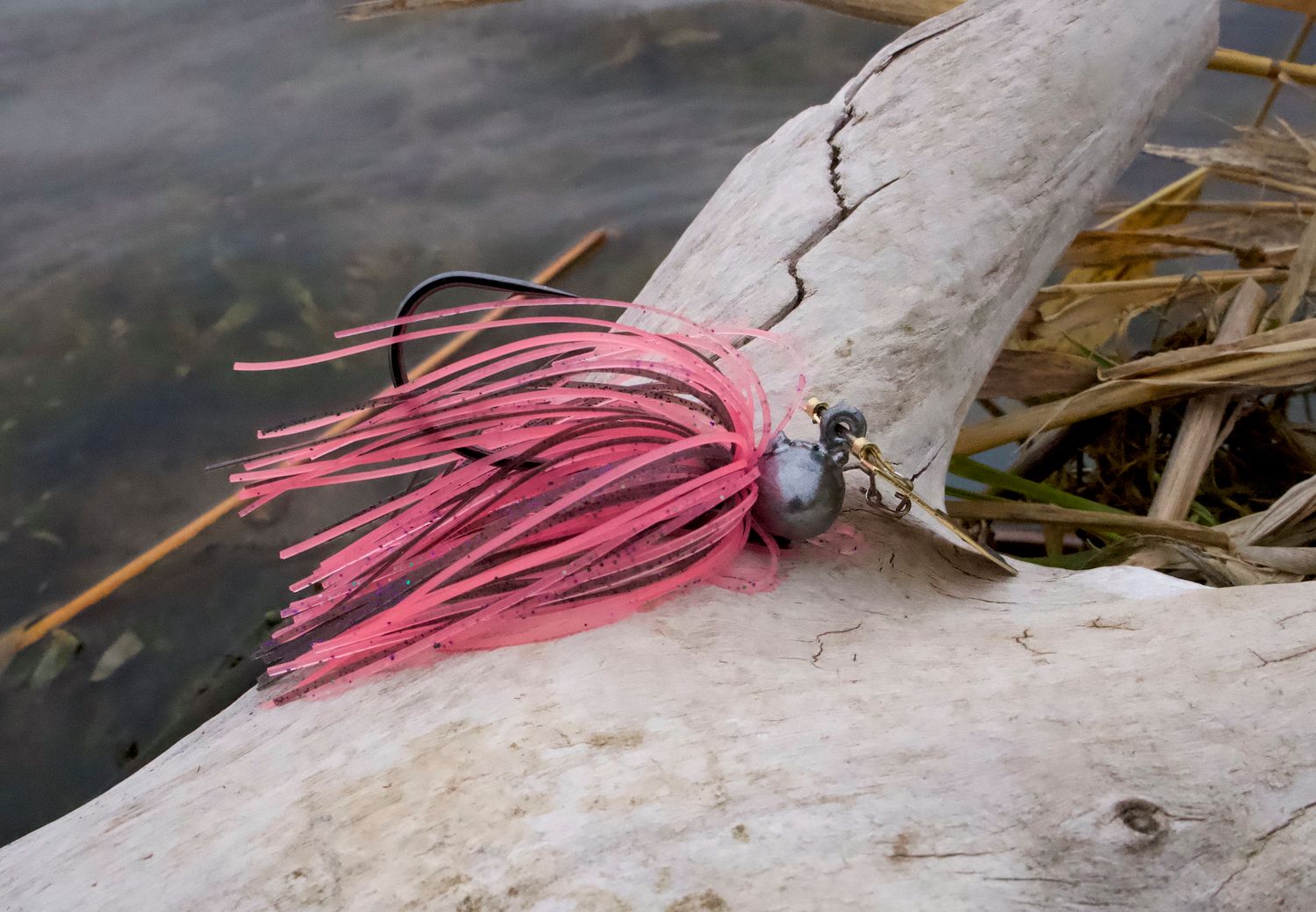 Hunter's Specialty Shop