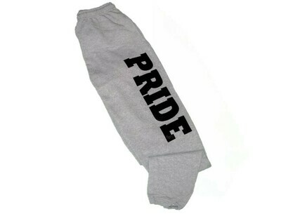 Pride of Cincinnati Swag Shop