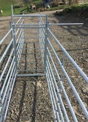 Sheep Handling