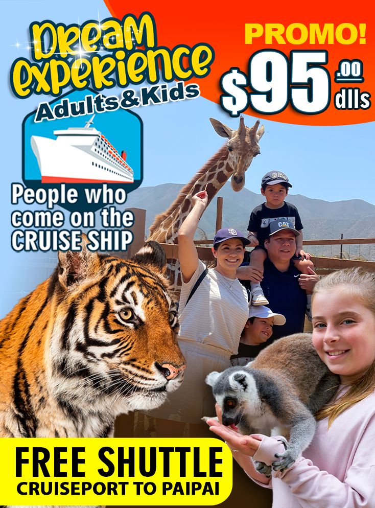 Dream Experience + Free Shuttle