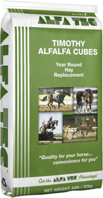 Equine Feed