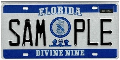 Buy Florida Specialty License Plates - Broward Tag and Title: Tag ...