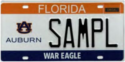 Buy Florida Specialty License Plates - Broward Tag and Title: Tag ...