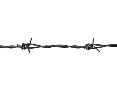 Barb Wire