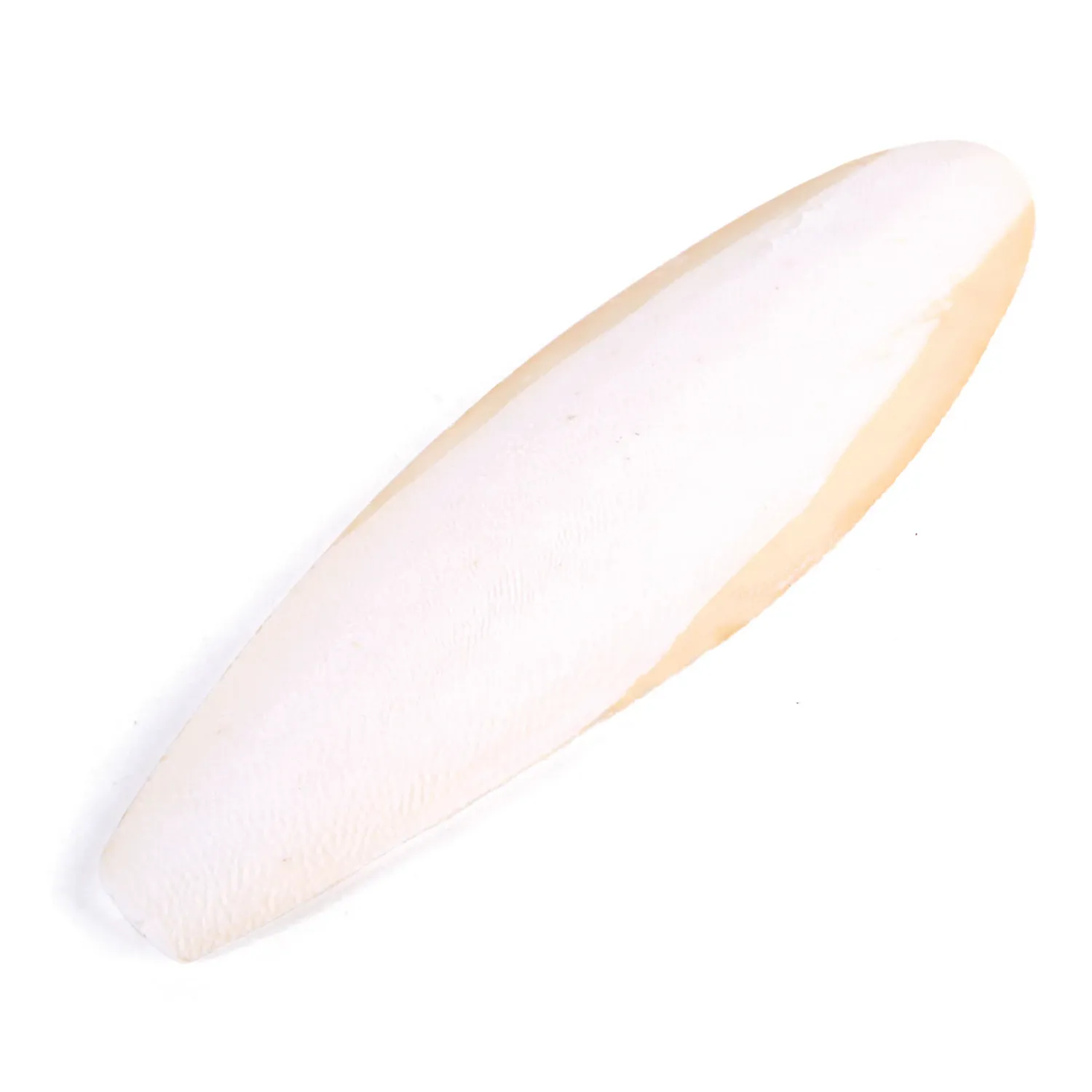 Kazoo Cuttlebone Natural 1 Pack L