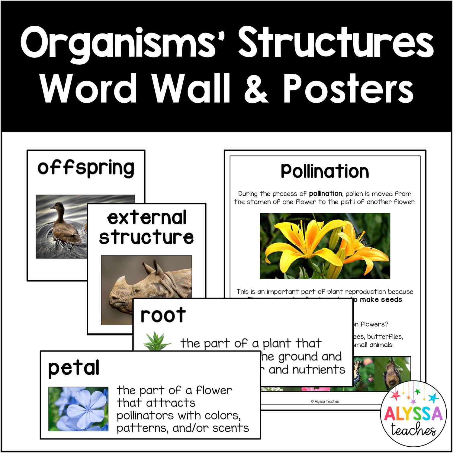 Plant and Animal Structures Word Wall and Poster Set (SOL 4.2) – Store ...