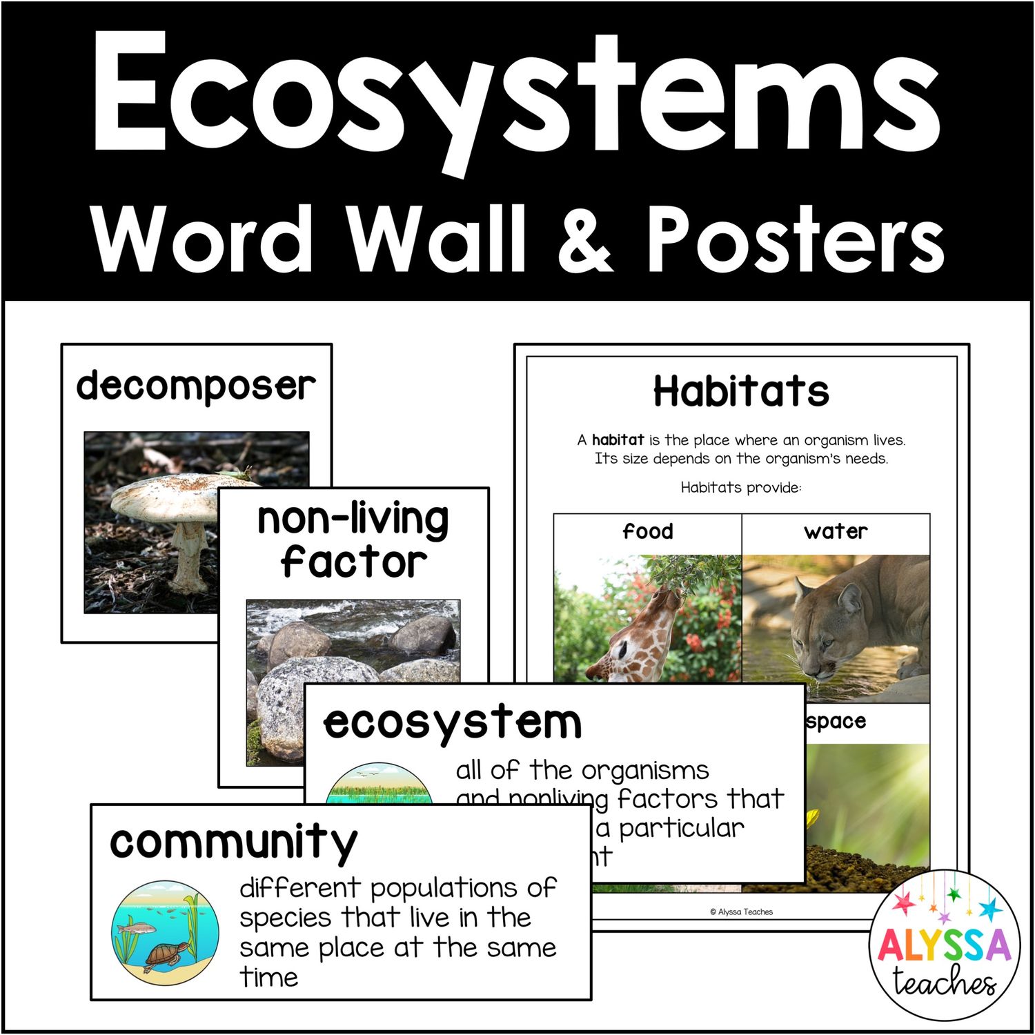 Ecosystems Word Wall and Poster Set (SOL 4.3) – Store – Alyssa Teaches