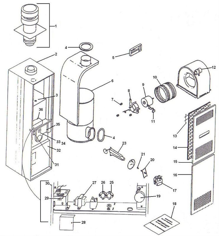 COLEMAN / REVOLV ILLUSTRATIONS