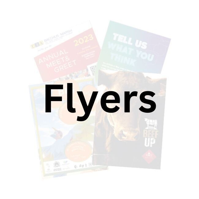 Flyers - Store - What Knots