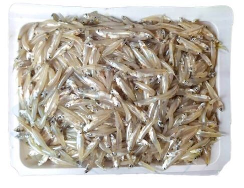 KESKI FISH 250G. - KR. 40