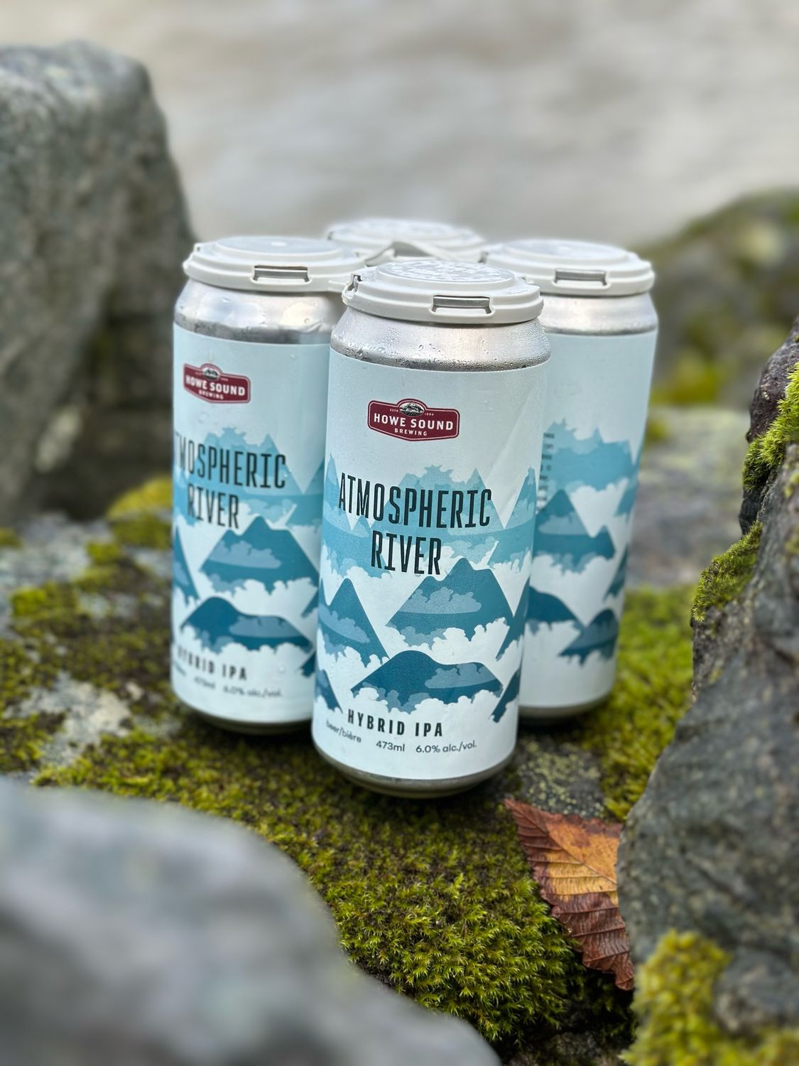 Atmospheric River Hybrid IPA 4pk