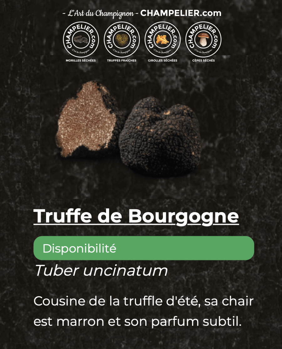 Truffe Fraiche Noire de Bourgogne Truffes entières