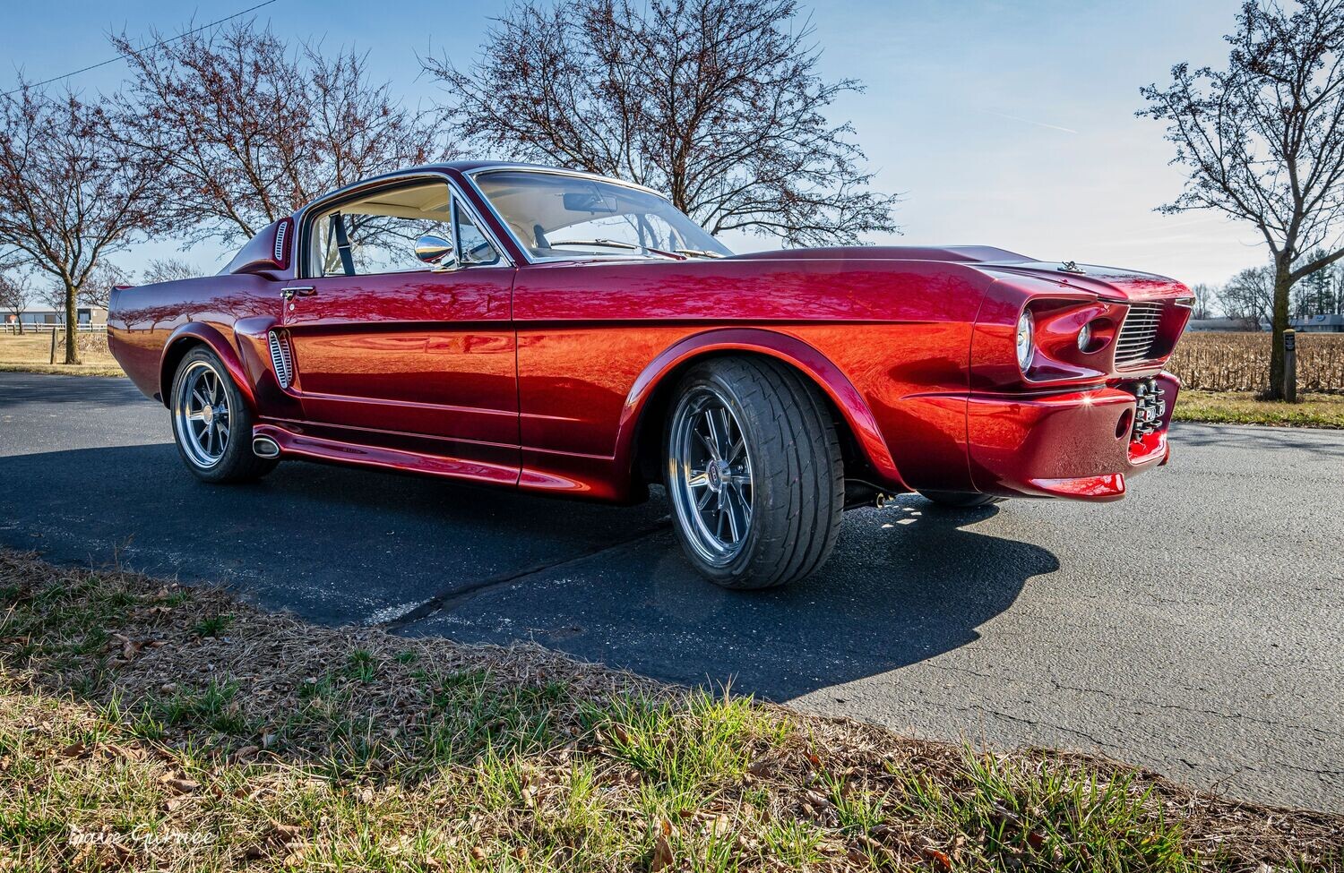 Exterior - Store - Mustangs to Fear