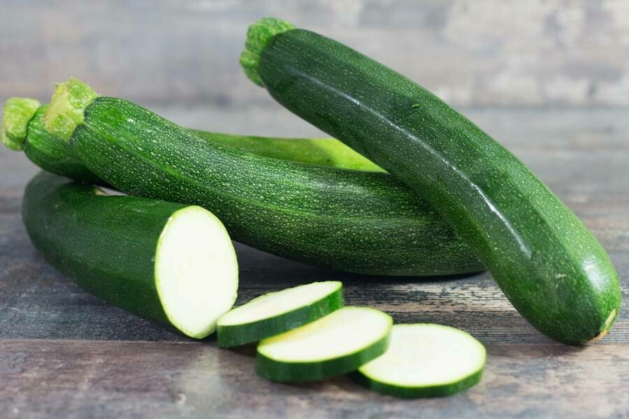 Plant de COURGETTE BIO "Verte des maraîchers"