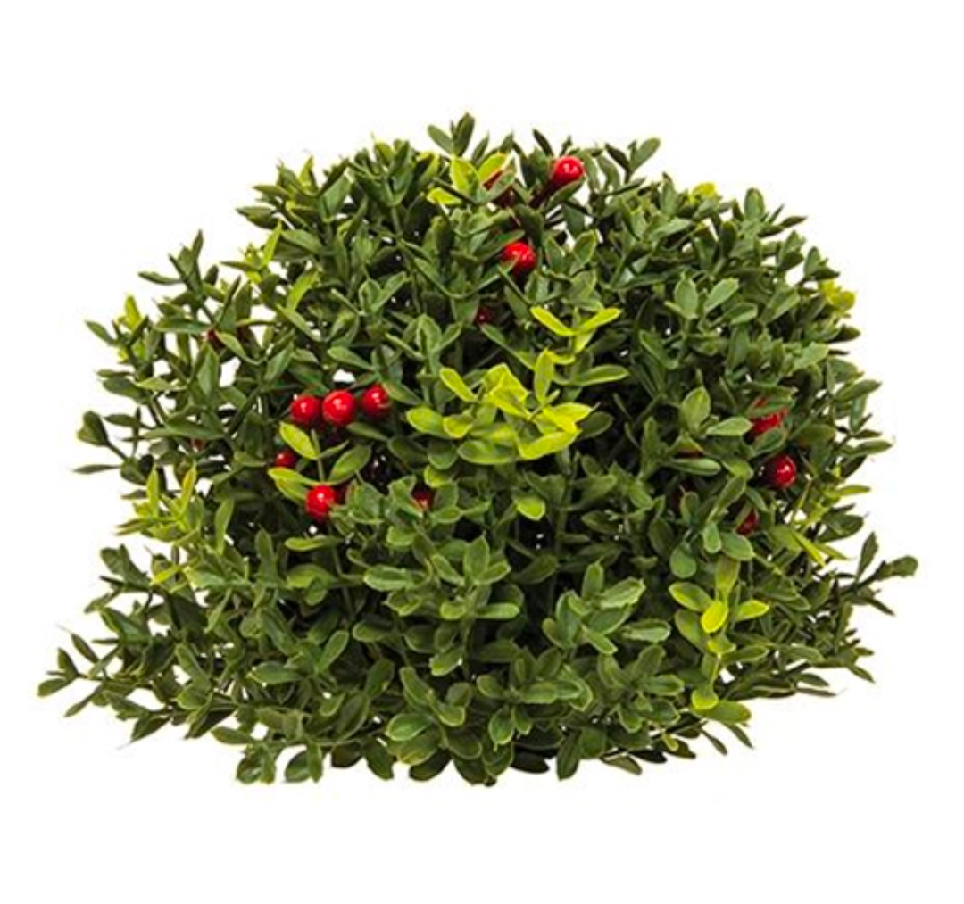8" New England Boxwood With Berries Half Sphere