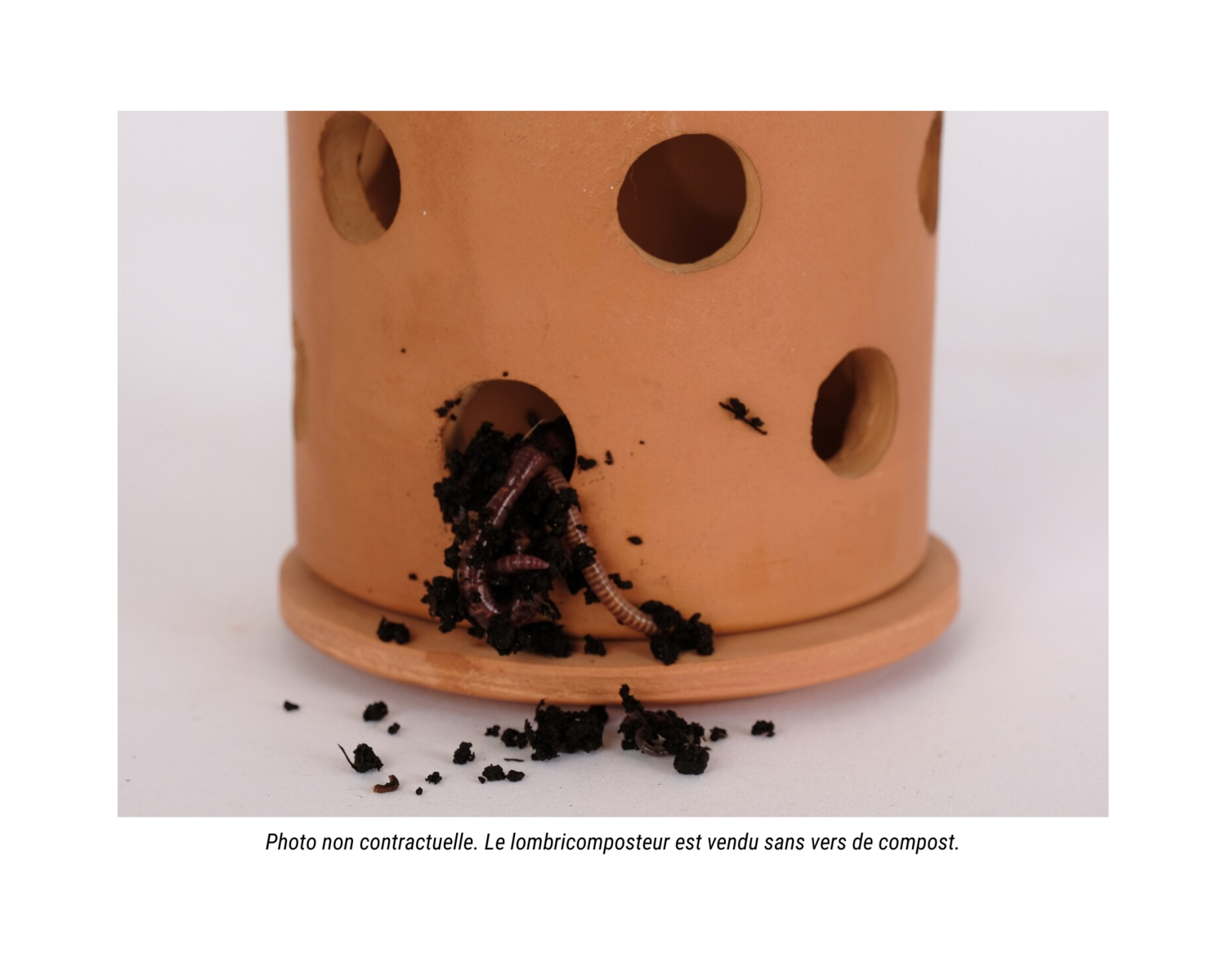 Lombricomposteurs à enterrer et vers de compost