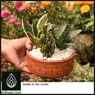 'Chitra' Brikkho Haat