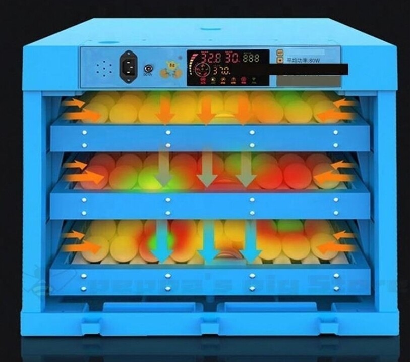 Automatic Chicken Incubator