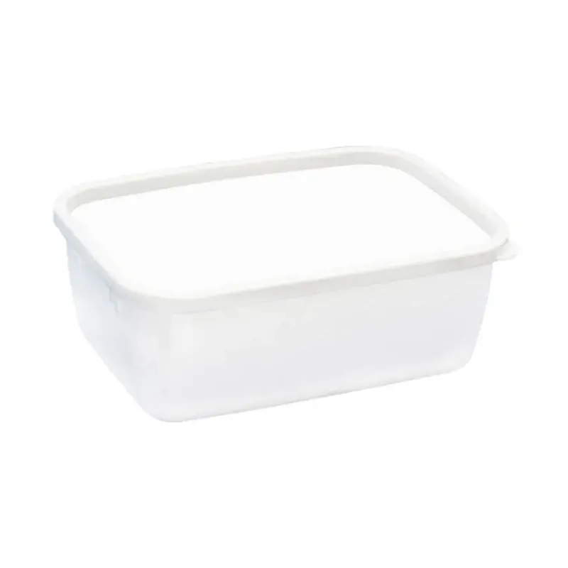 Kenpoly Rectangle Food Container 1L