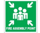 LGE121 Fire Assembly Point Sign, 150x150mm, Luminous