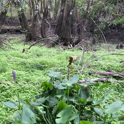 Store - Earth Tech Environmental