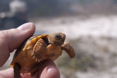 Store - Earth Tech Environmental