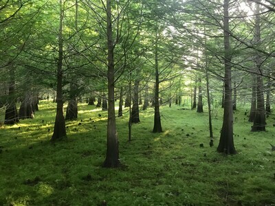 Store - Earth Tech Environmental