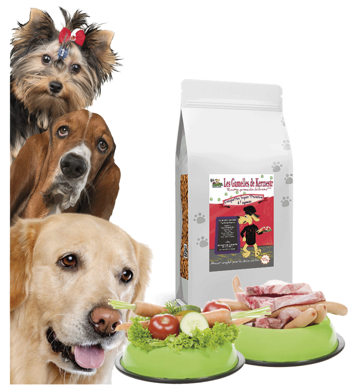 Alimentation équilibrée pour chien, avec ou sans céréales