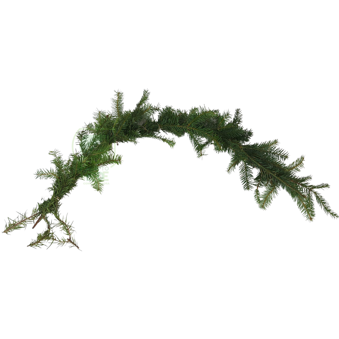 Guía Festón Natural (por metro lineal)