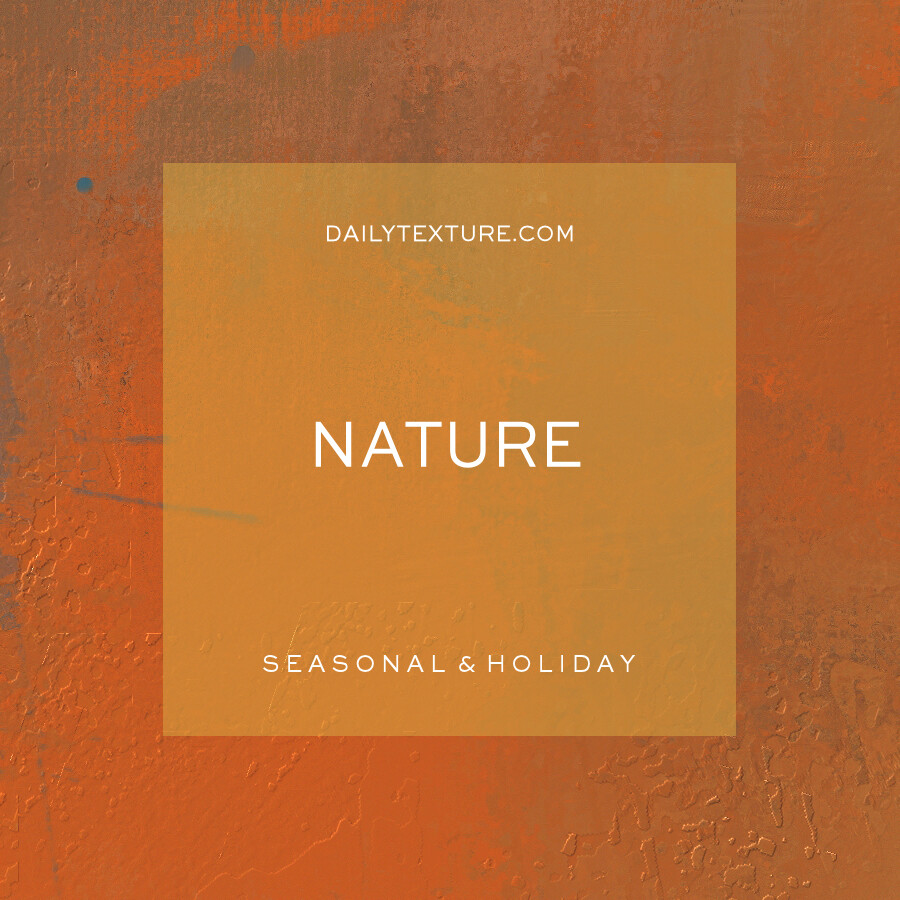 Nature Seasonal and Holiday Textures