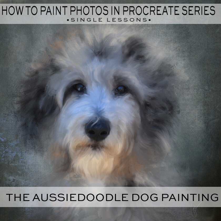 Painting The Aussiedoodle Dog in Procreate