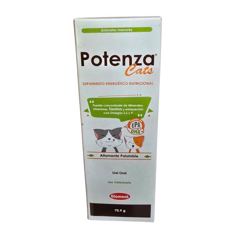 Potenza Cats. Veterinaria Managua.
