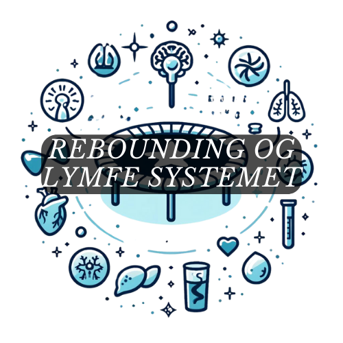Rebounding og Lymfe systemet
