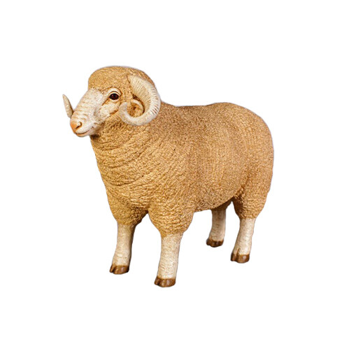 Merino Ram (Small)