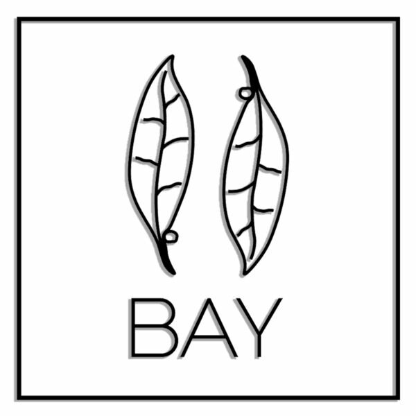 BAY Studios