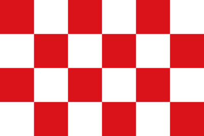 MIKE'S BARGAIN FLAGS