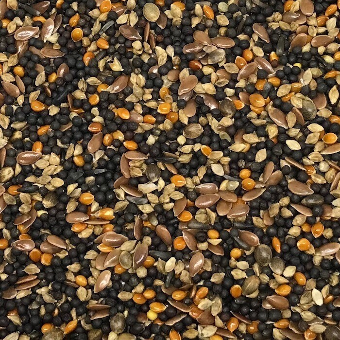 All Seeds | PLANTATION PREMIUM SEEDS