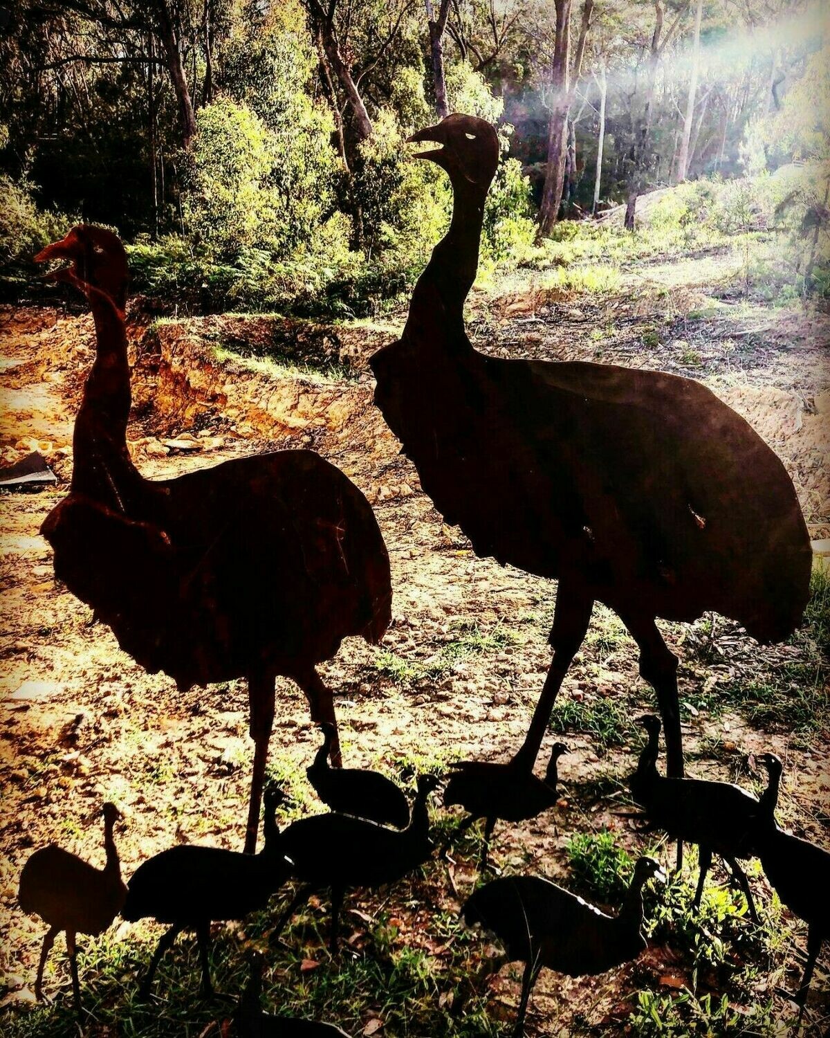 Laser Cut Decorative Art Garden Sculpture Emu Silhouette Corten Steel