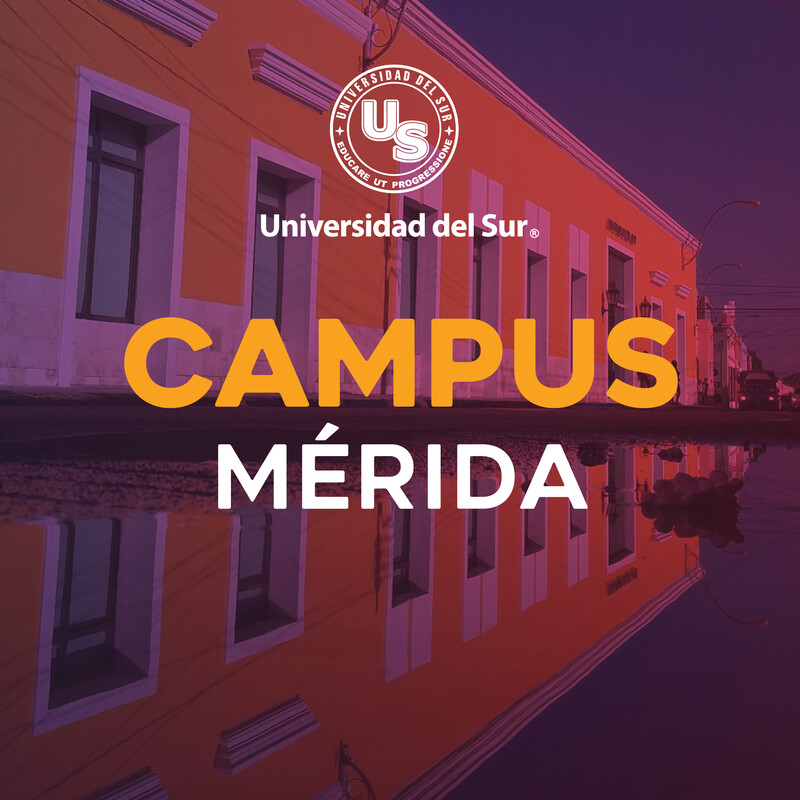 Universidad Tecnológica Del Sur SC