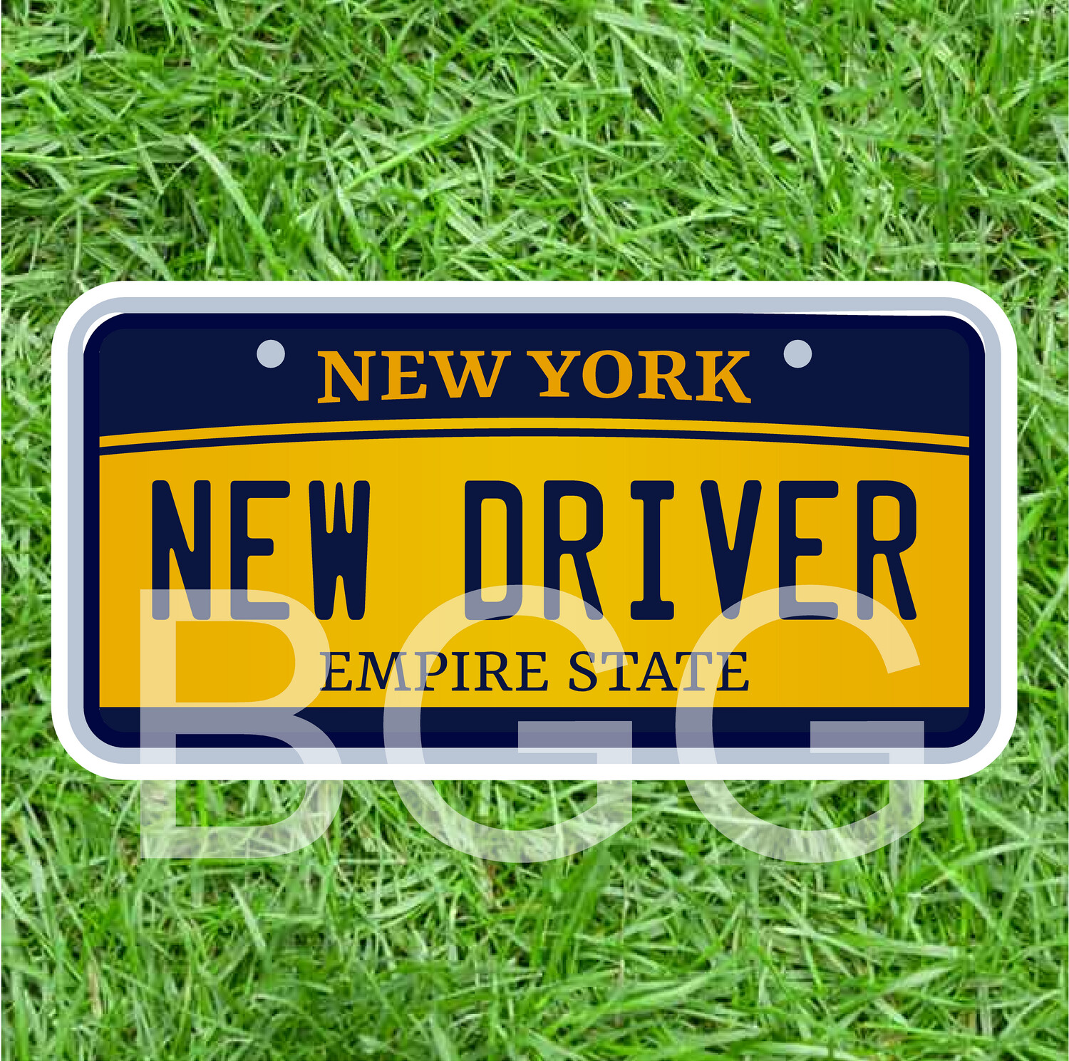 New York New Driver License Plate - Store - Bluegrass Greetings & Co.